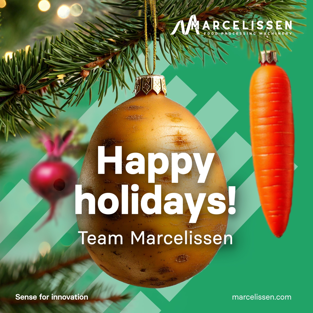 Looking back at 2024 by Managing Director Jos Derijk | Marcelissen